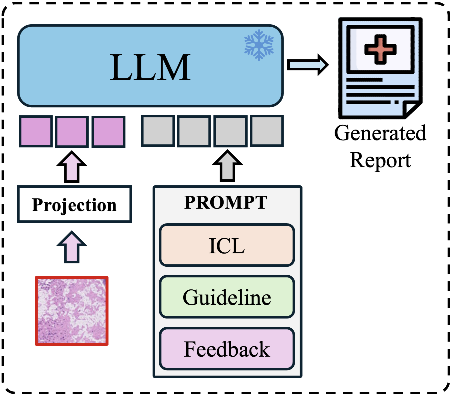 Friendly Casper - Portfolio